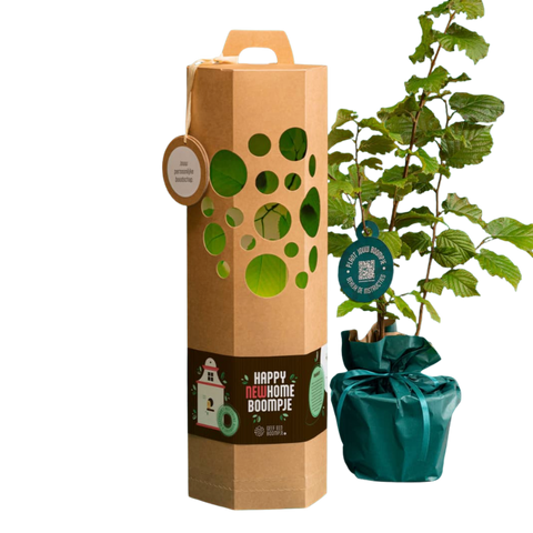 Happy Home boompje- 10.000+ cadeau's | Verwenboxen.nl